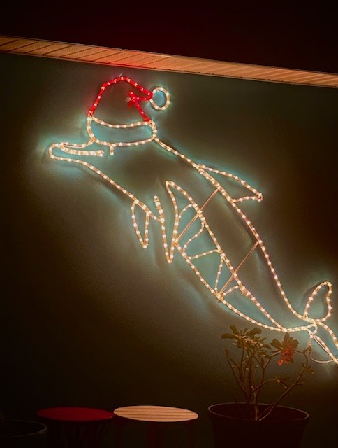 40th anniversary of Matlacha’s luminaries Dec. 24 - Pineisland Eagle